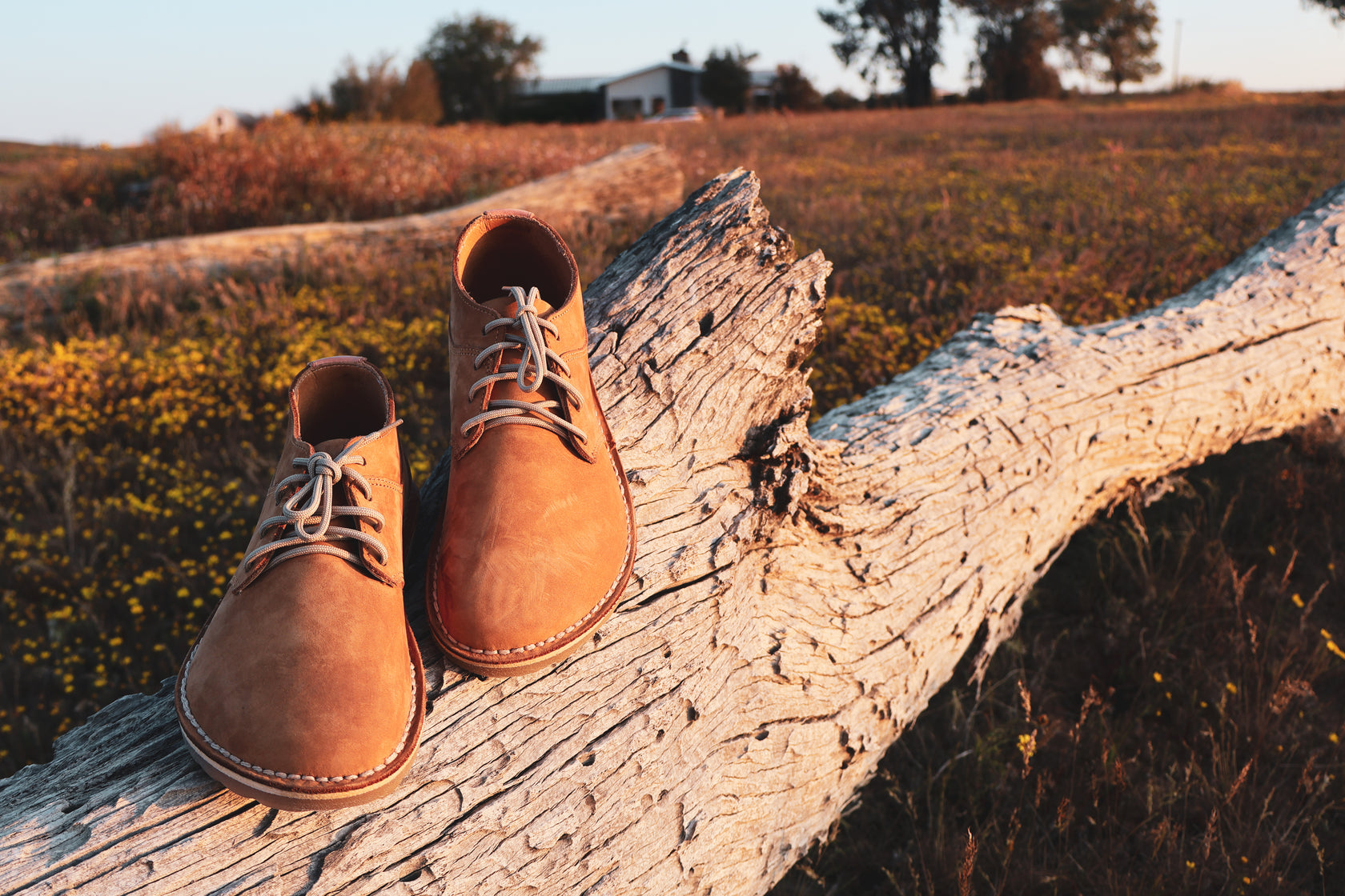 Tundra/Pink Back Tag – Common Tread