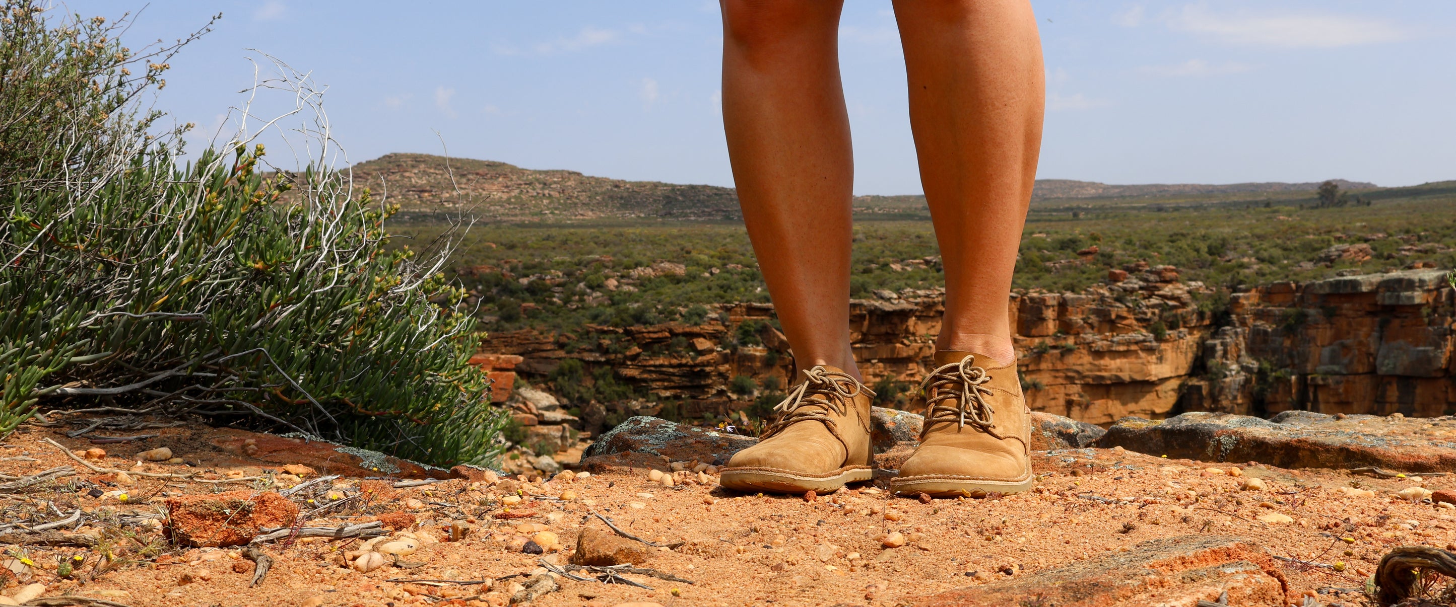 Tundra/Pink Back Tag – Common Tread