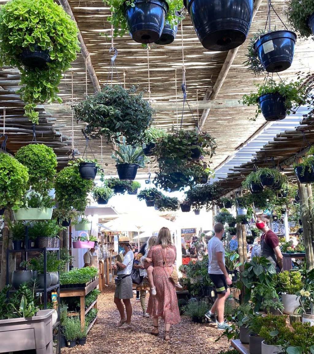 Out and About – Common Tread